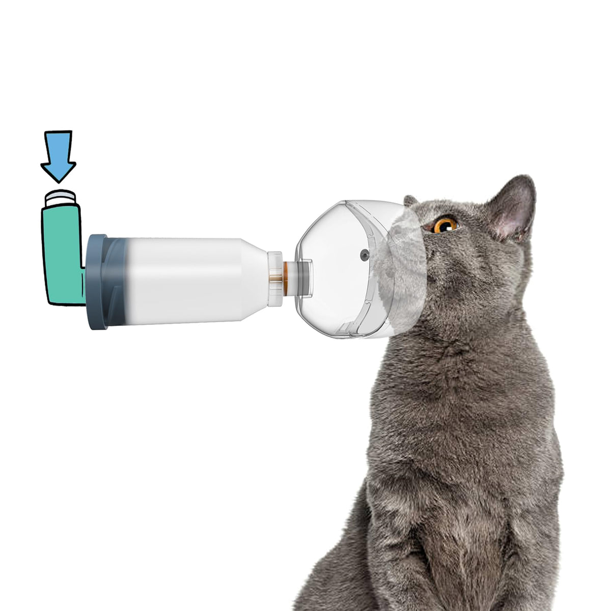 Nomeoop Feline Aerosol Chamber Inhaler Spacer for Cats and Kittens wit ...