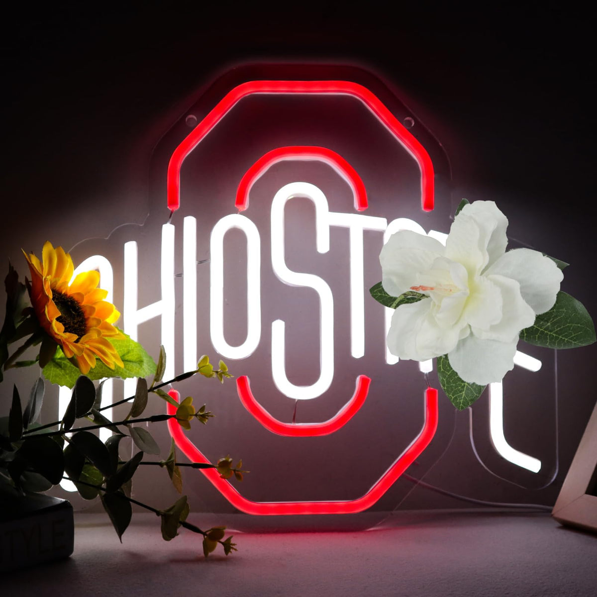 Pugna Football Neon Signs for Wall Decor University Football Team Neon ...